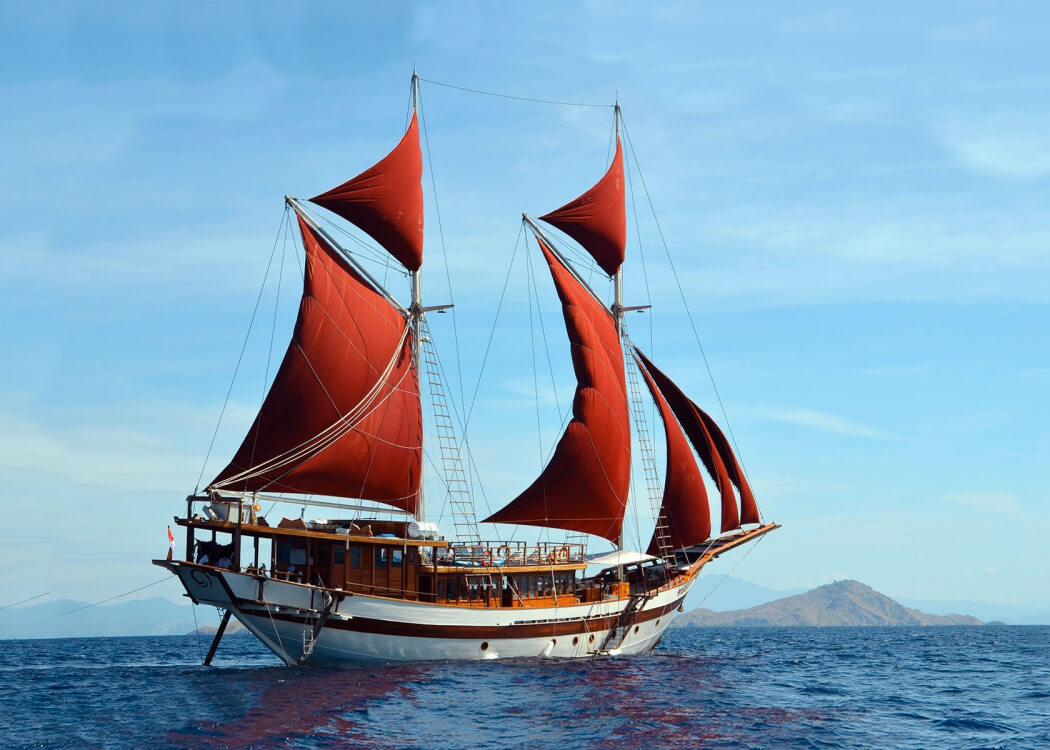 Tiare - Tartaruga Adventures